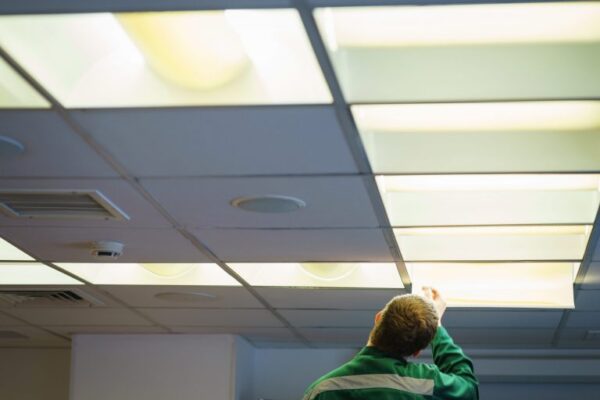 Fluorescent Bulb Bans in the U.S. | State-by-State Guide